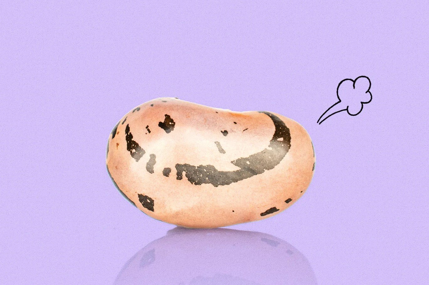 Bean study finds ways to make you fart less