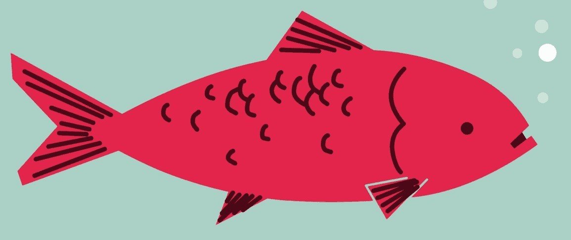 Is there actual species of fish named “red herring”